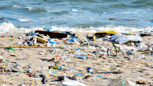 Waste Management Issues in Florida: An In-Depth Examination – Florida ...